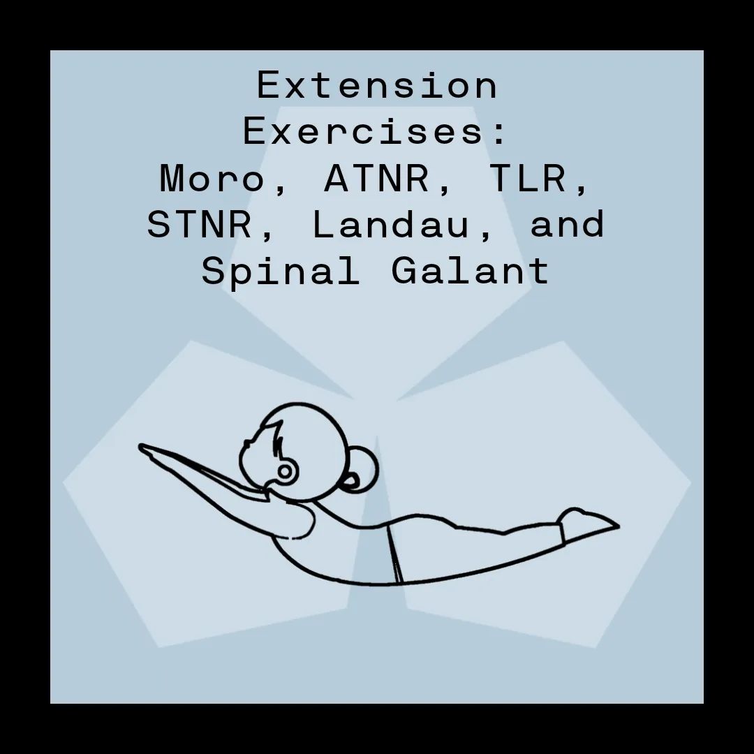 Moro, ATNR, TLR, STNR, Landau, and Spinal Galant – Archetype Health