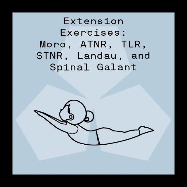 Moro, ATNR, TLR, STNR, Landau, and Spinal Galant – Archetype Health
